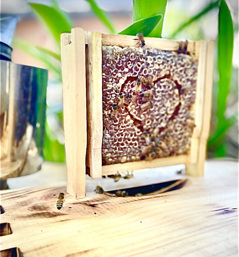 IDEAL MINI FRAME SYSTEM - Burnett Beekeeping Supplies